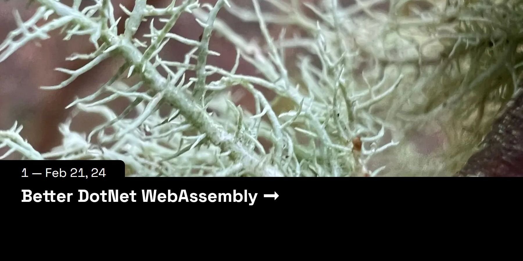 Better DotNet WebAssembly